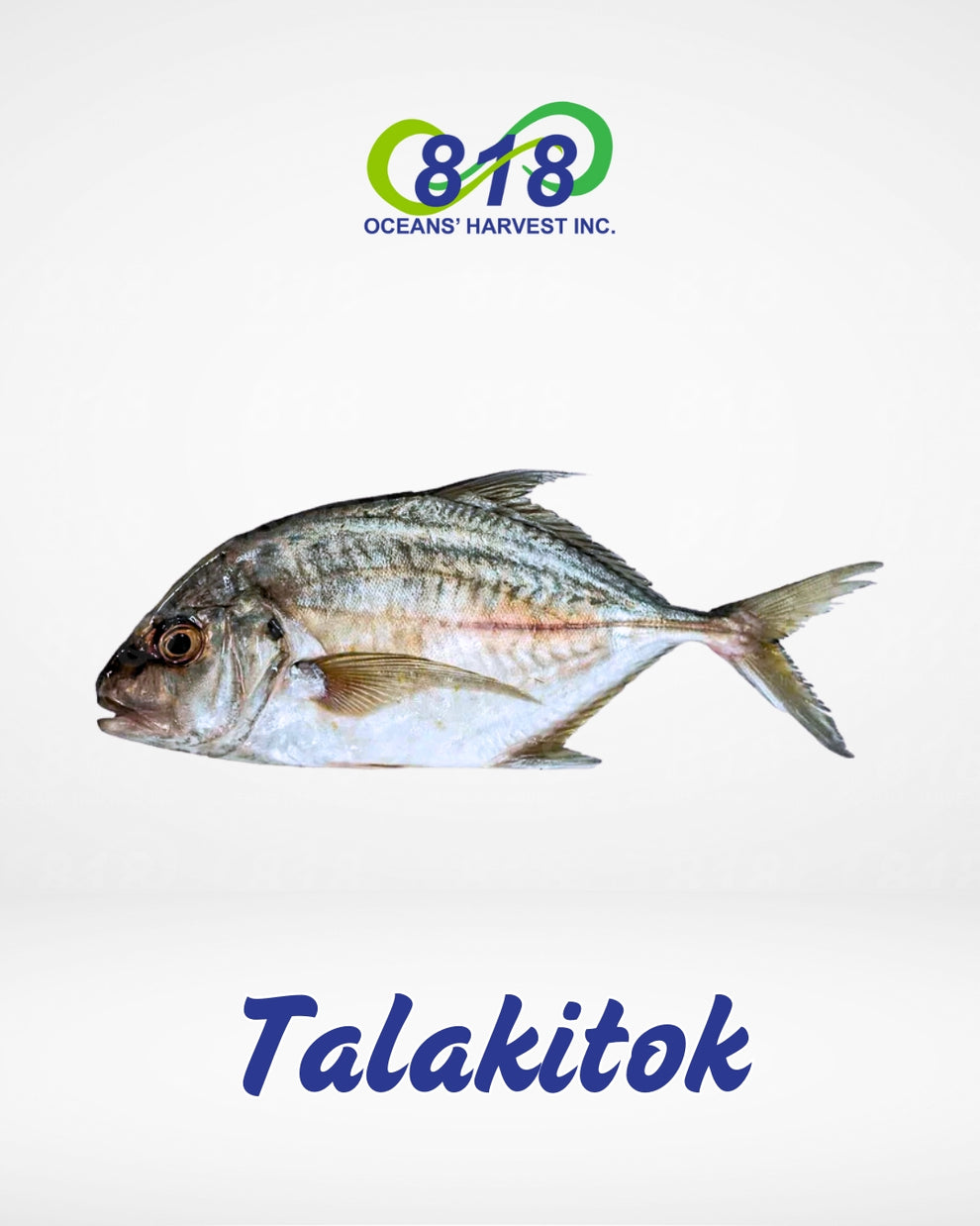 Talakitok – 818 Oceans' Harvest